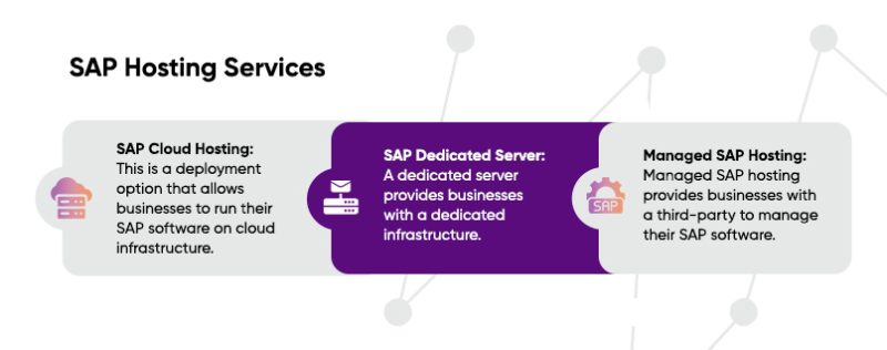 SAP hosting | Solutions for ensuring optimal performance